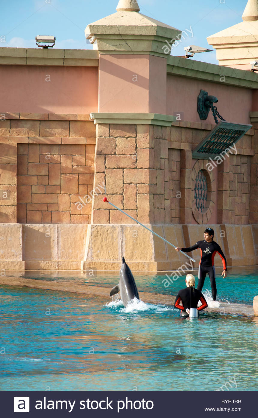 Atlantis Dubai Dolphin Stock Photos & Atlantis Dubai Dolphin Stock ...