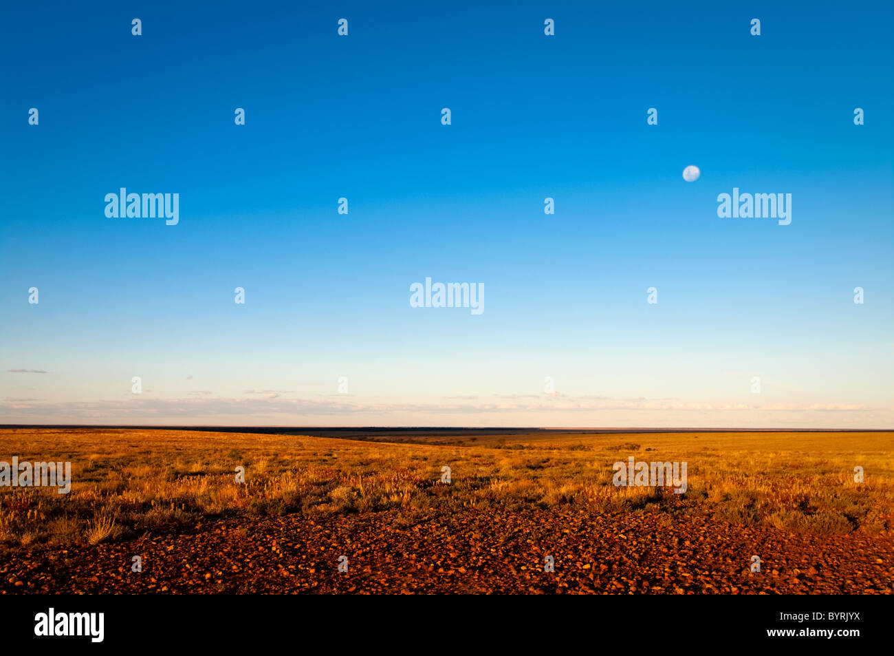 Desert Plains in the evening light with moon Stock Photo - Alamy
