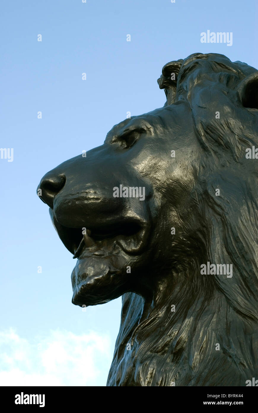 Trafalgar Square Lion Stock Photo - Alamy