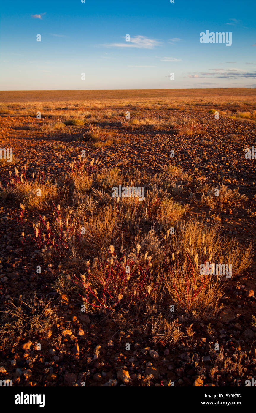 Golden grass plains hi-res stock photography and images - Alamy