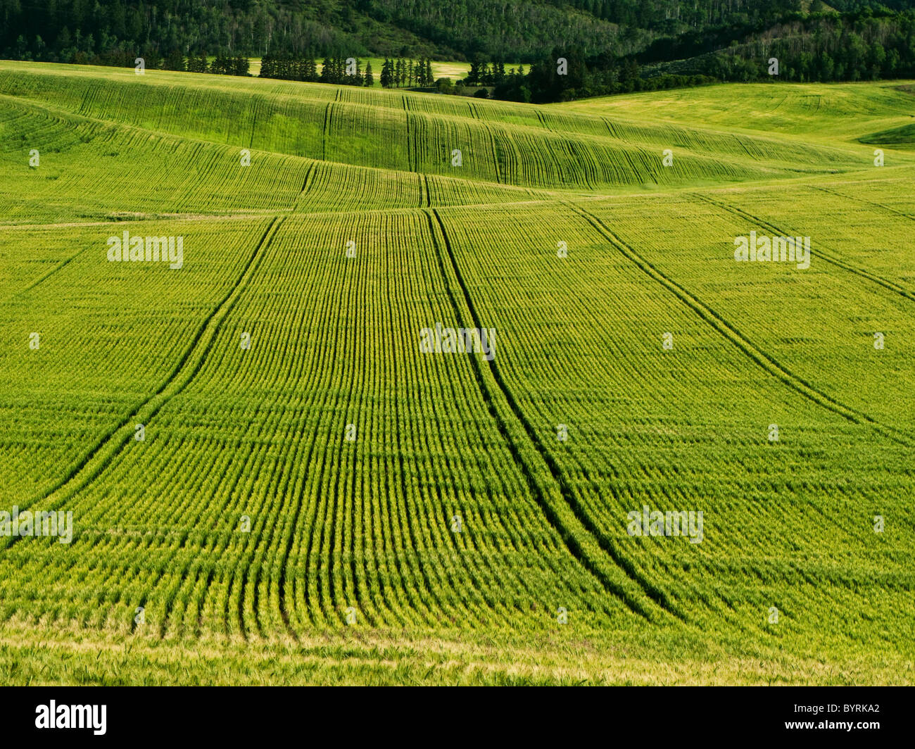 Agriculture spring hi-res stock photography and images - Alamy