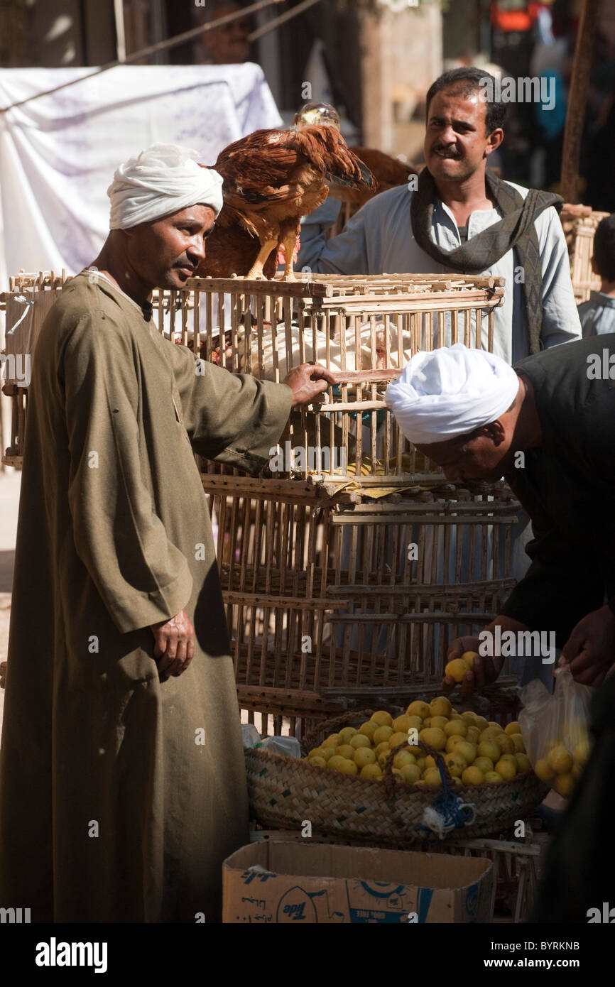 Aegypten, Luxor, im Souk Stock Photo - Alamy
