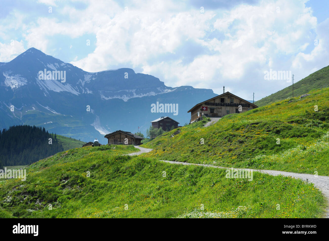 Path in the alps hi-res stock photography and images - Alamy