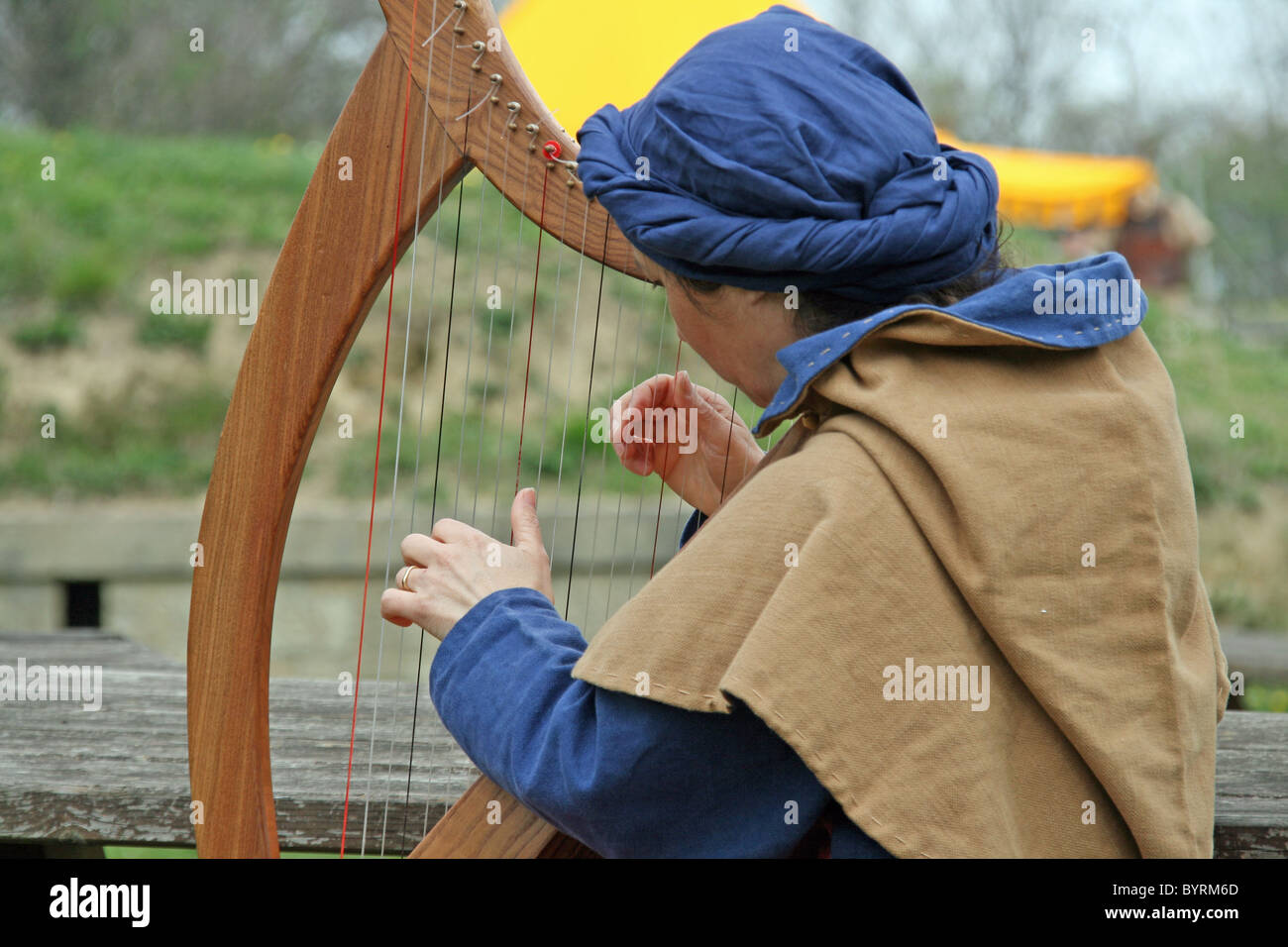 Celtic Harp Stock Photos & Celtic Harp Stock Images - Alamy