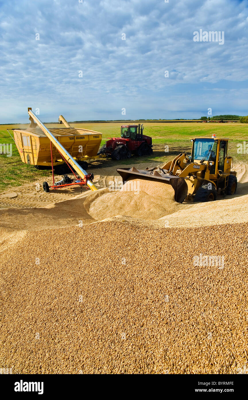 Grain auger bin hi-res stock photography and images - Alamy