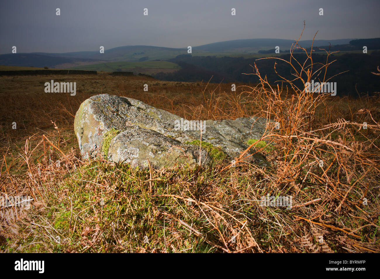 stone in the forest of bowland Stock Photo - Alamy