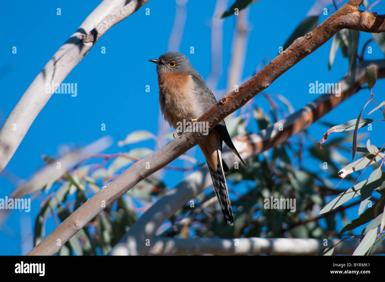 Lake sturt hi-res stock photography and images - Alamy