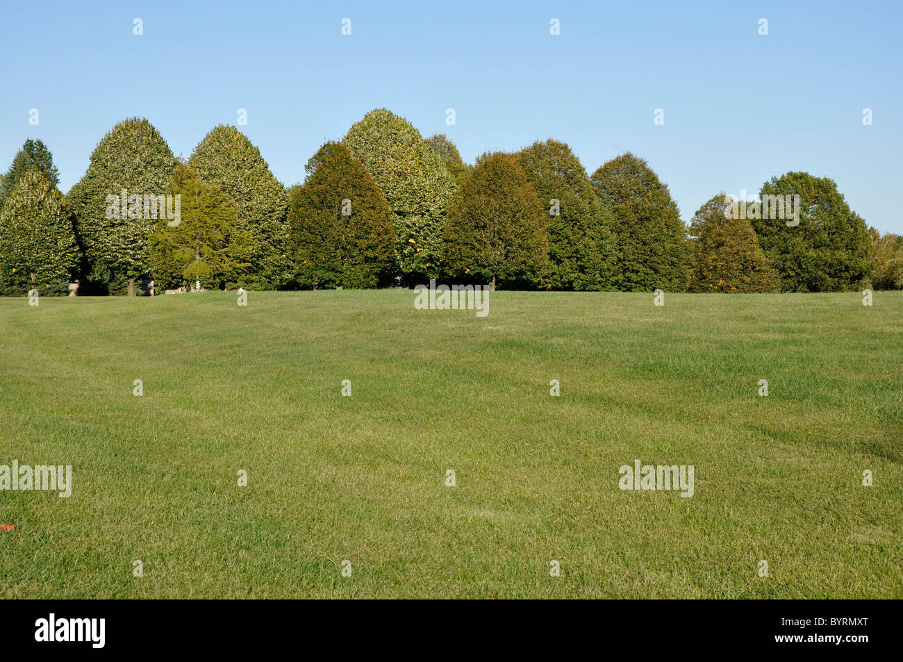 View of a large grass area and trees in a park setting. Above is a ...