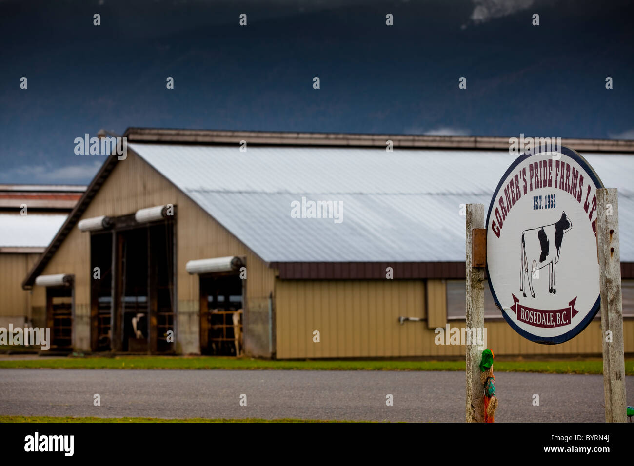Canada dairy farm hi-res stock photography and images - Alamy