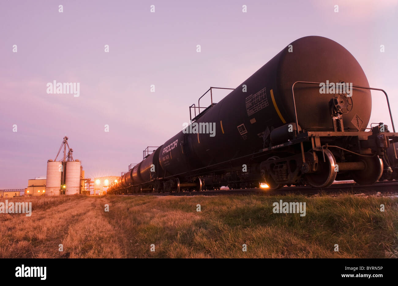 Railroad tanker cars await loading of canola oil at a canola crushing ...