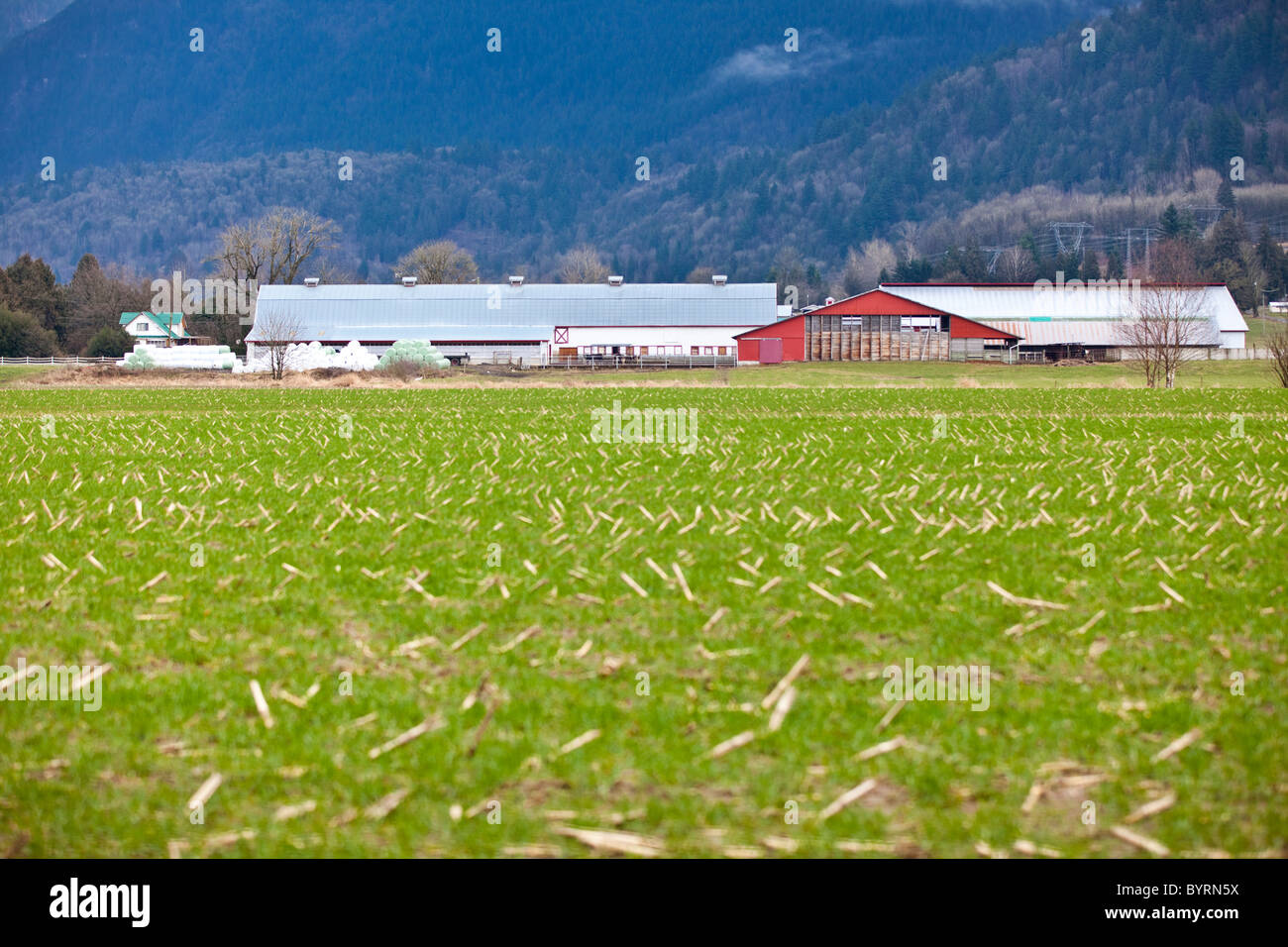 Fallow farm hi-res stock photography and images - Alamy