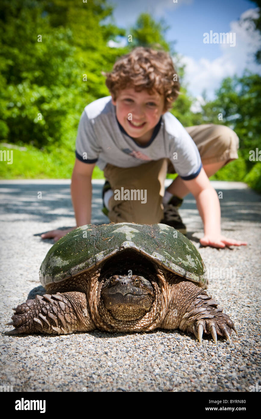 Old Snapping Turtle High Resolution Stock Photography and Images - Alamy