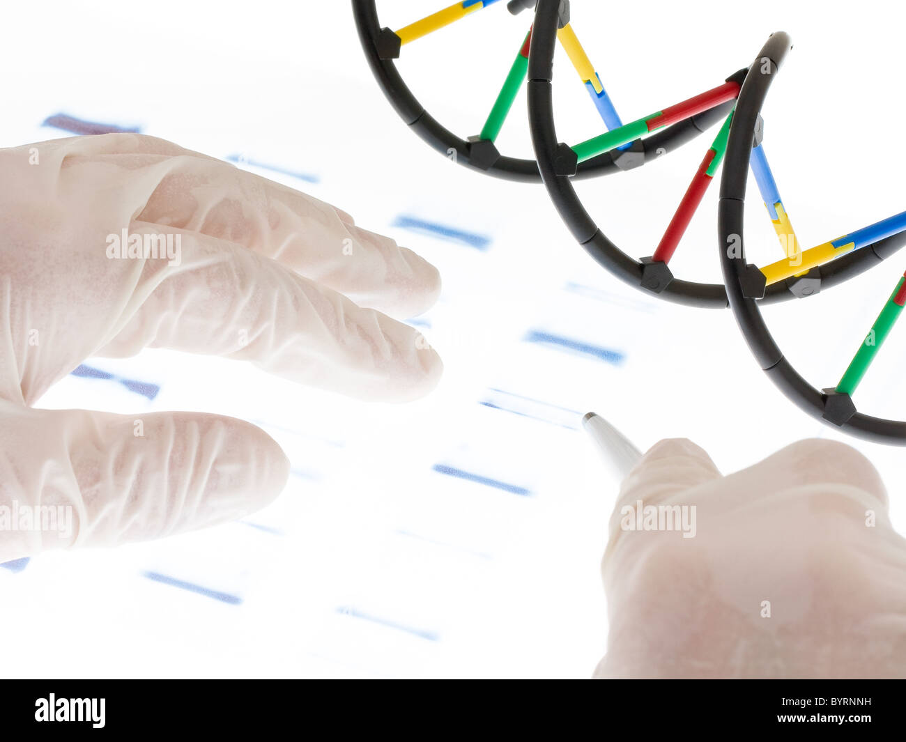 Researcher examining DNA sequence transparency slide Stock Photo - Alamy