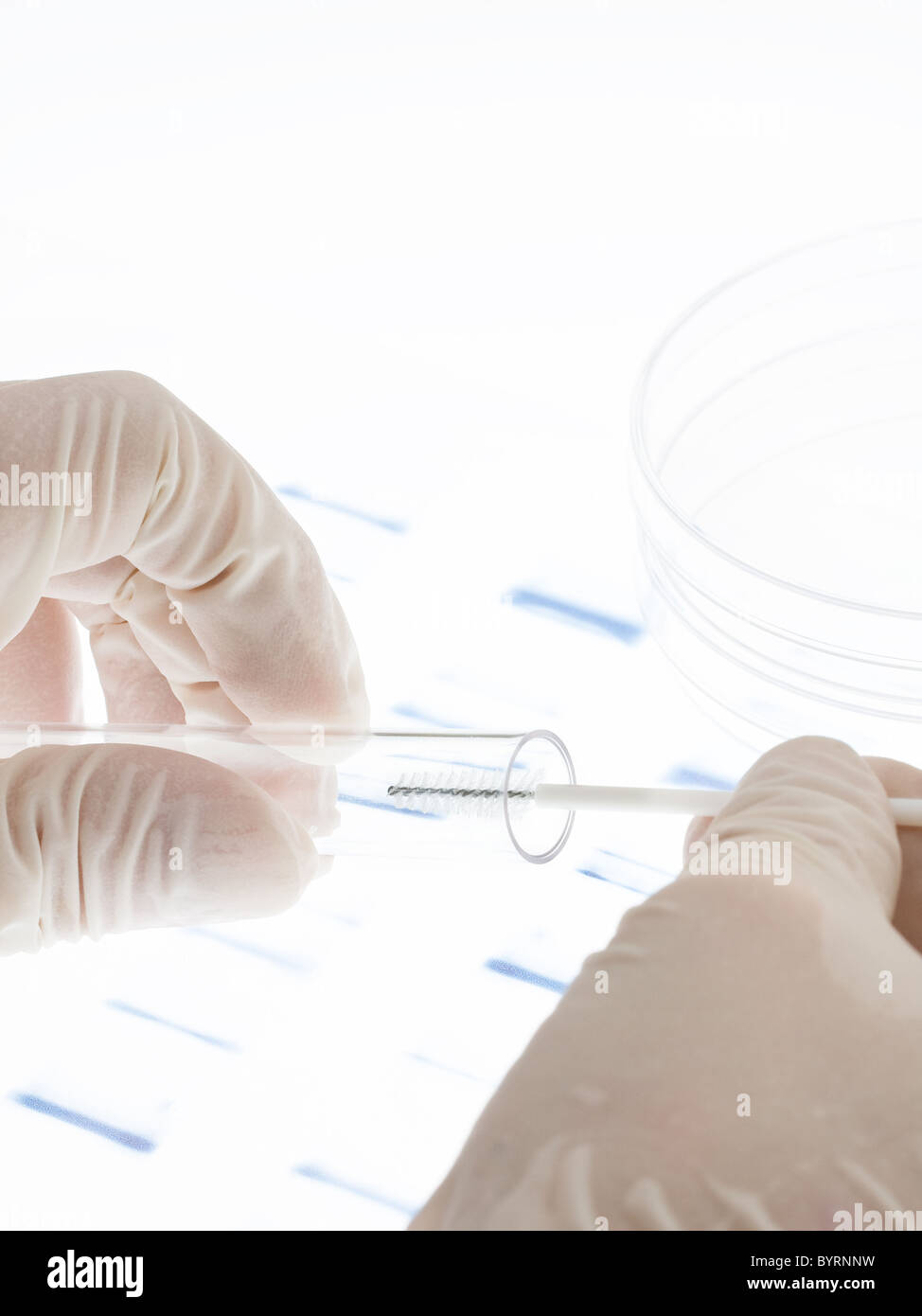 Researcher putting sample of DNA test into a test tube Stock Photo - Alamy