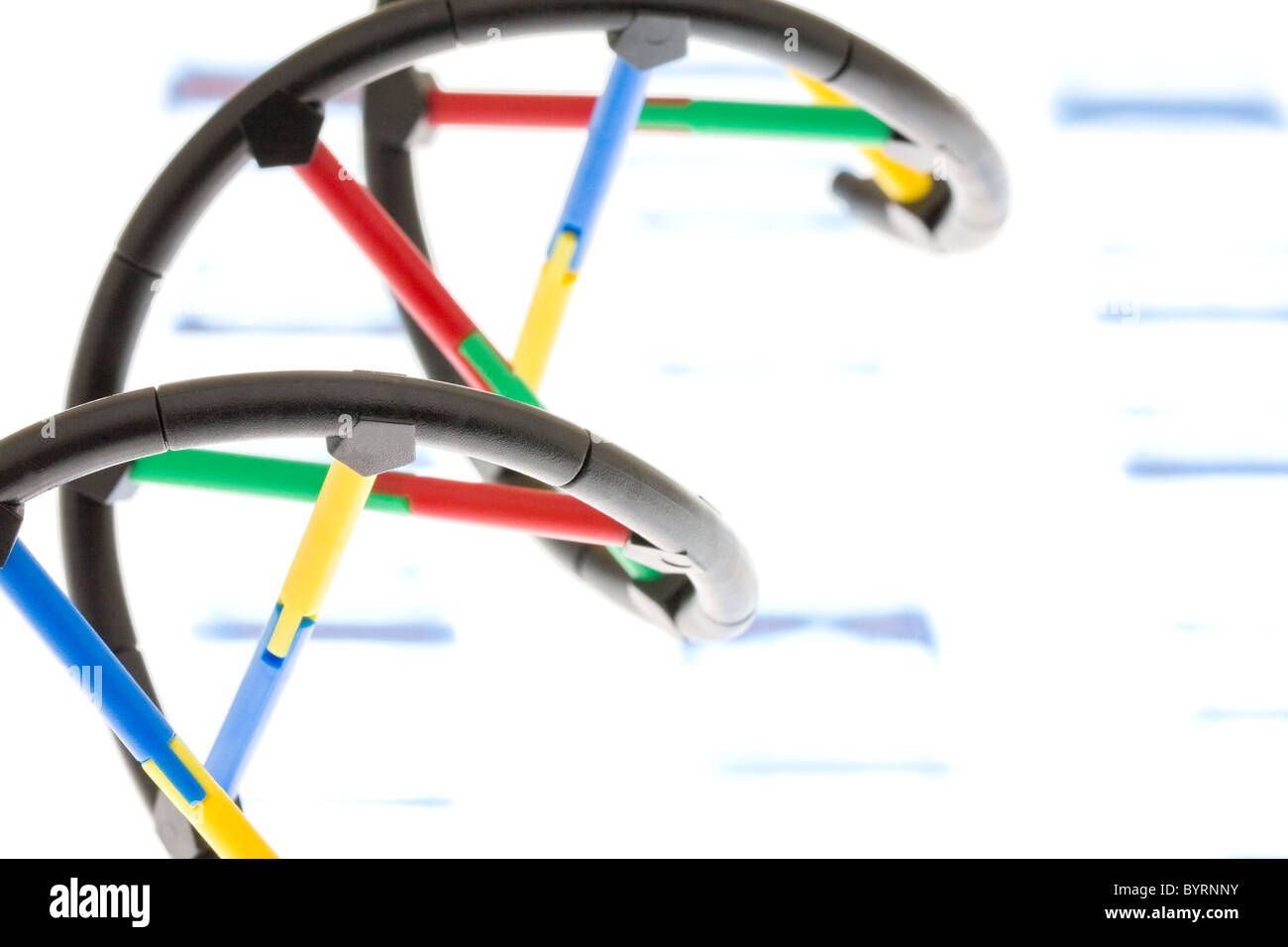 DNA model on print out of DNA sequence Stock Photo - Alamy