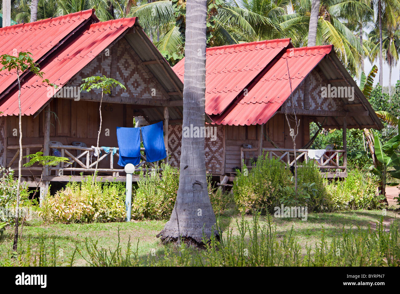 Coconut Palm Tree Grove and Tourist Accommodation, Hat Klong Khong ...