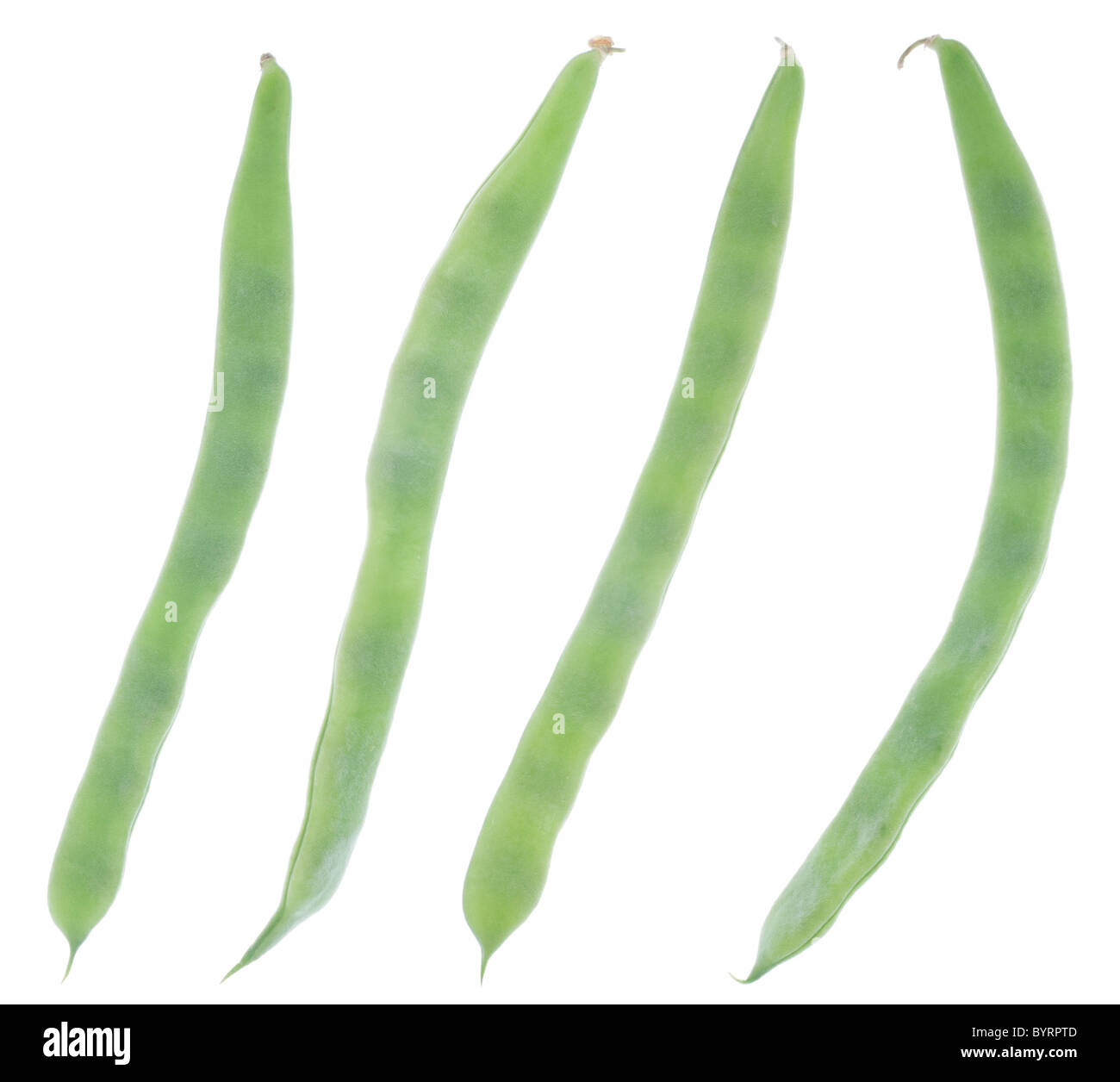 four green bean pods isolated on white background Stock Photo - Alamy