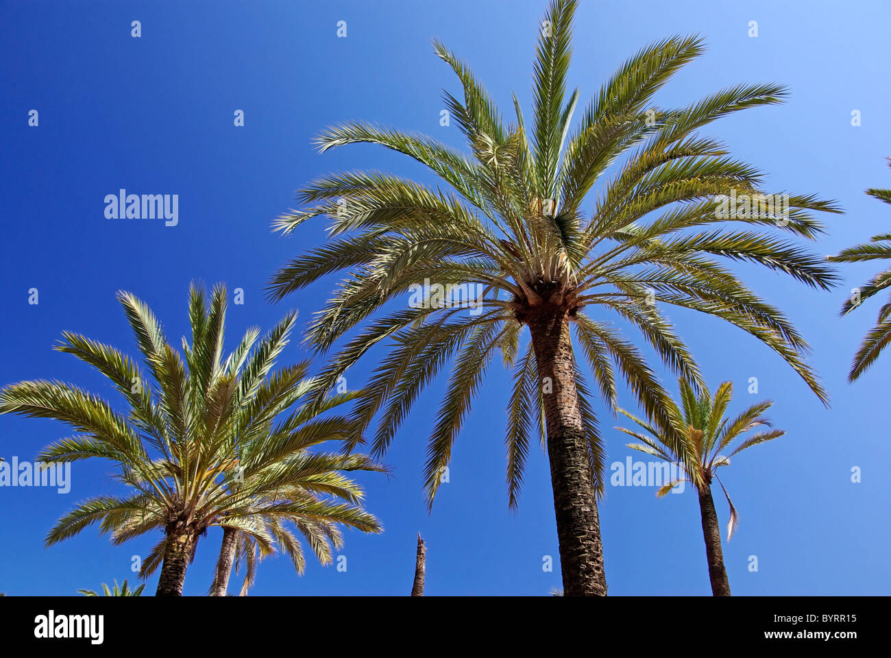 Destination sky bright hi-res stock photography and images - Alamy