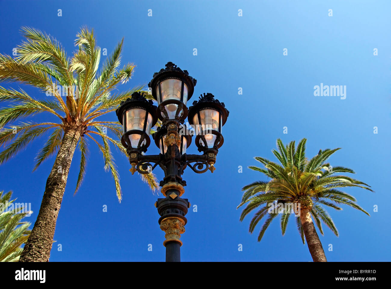 Palm trees among city hi-res stock photography and images - Alamy