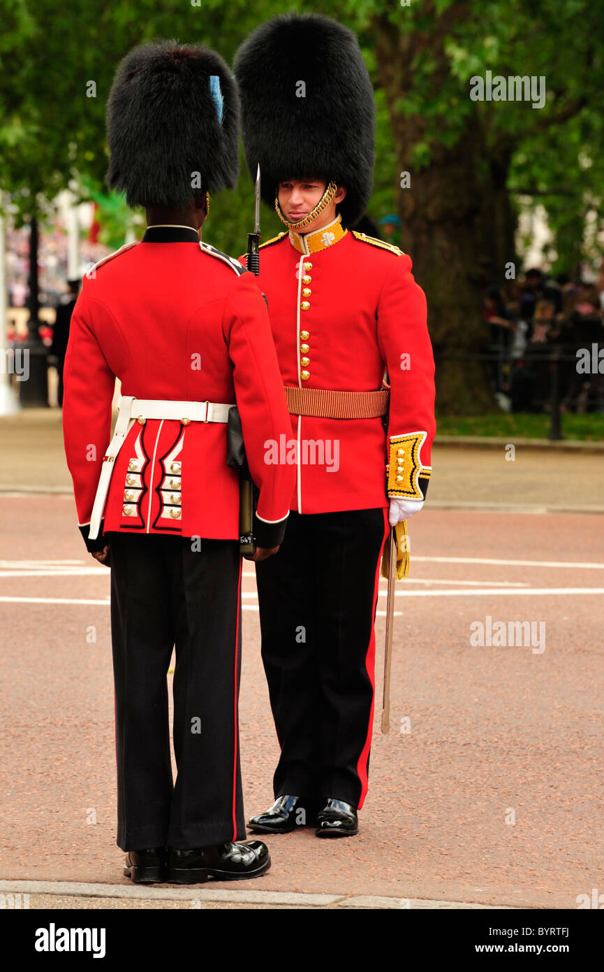 Irish Guards Officer High Resolution Stock Photography and Images - Alamy