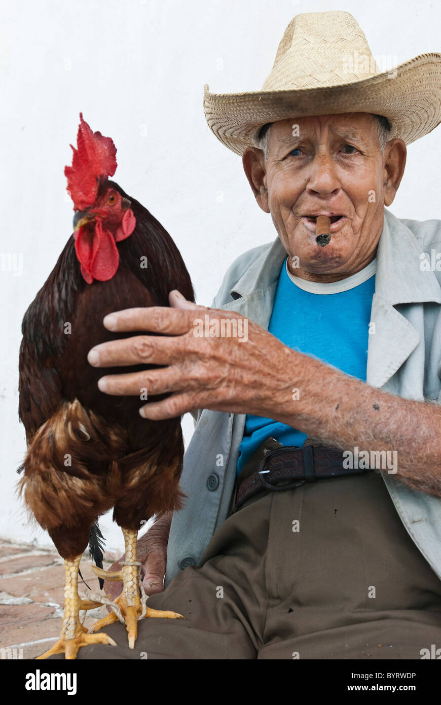 Old man with straw hat holding a rooster on his leg, Trinidad, Sancti ...