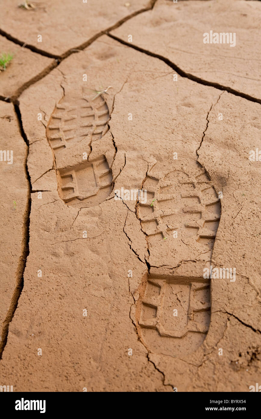 Footprints in mud hi-res stock photography and images - Alamy