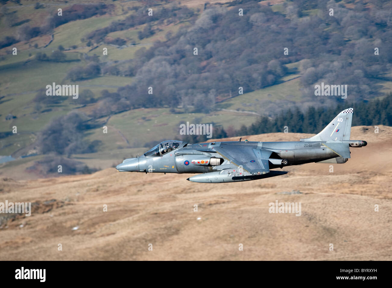 A RAF Harrier lowe flying in the mach loop north wales Stock Photo - Alamy