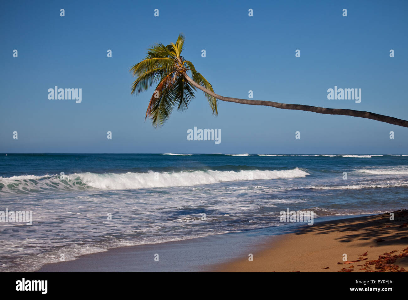 Steps beach in Rincon Puerto Rico Stock Photo - Alamy