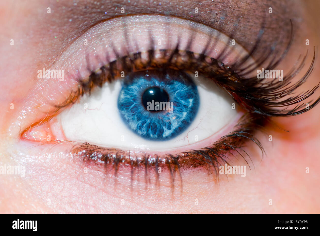 Close up of a White European womans blue eye with false eyelashes and ...