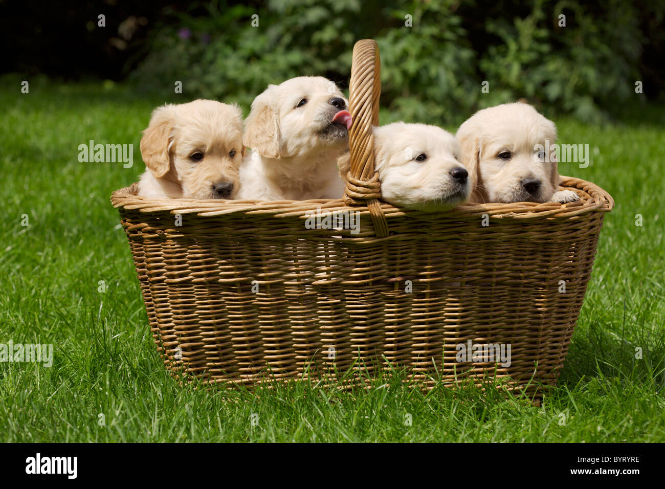 Four wicker baskets hi-res stock photography and images - Alamy