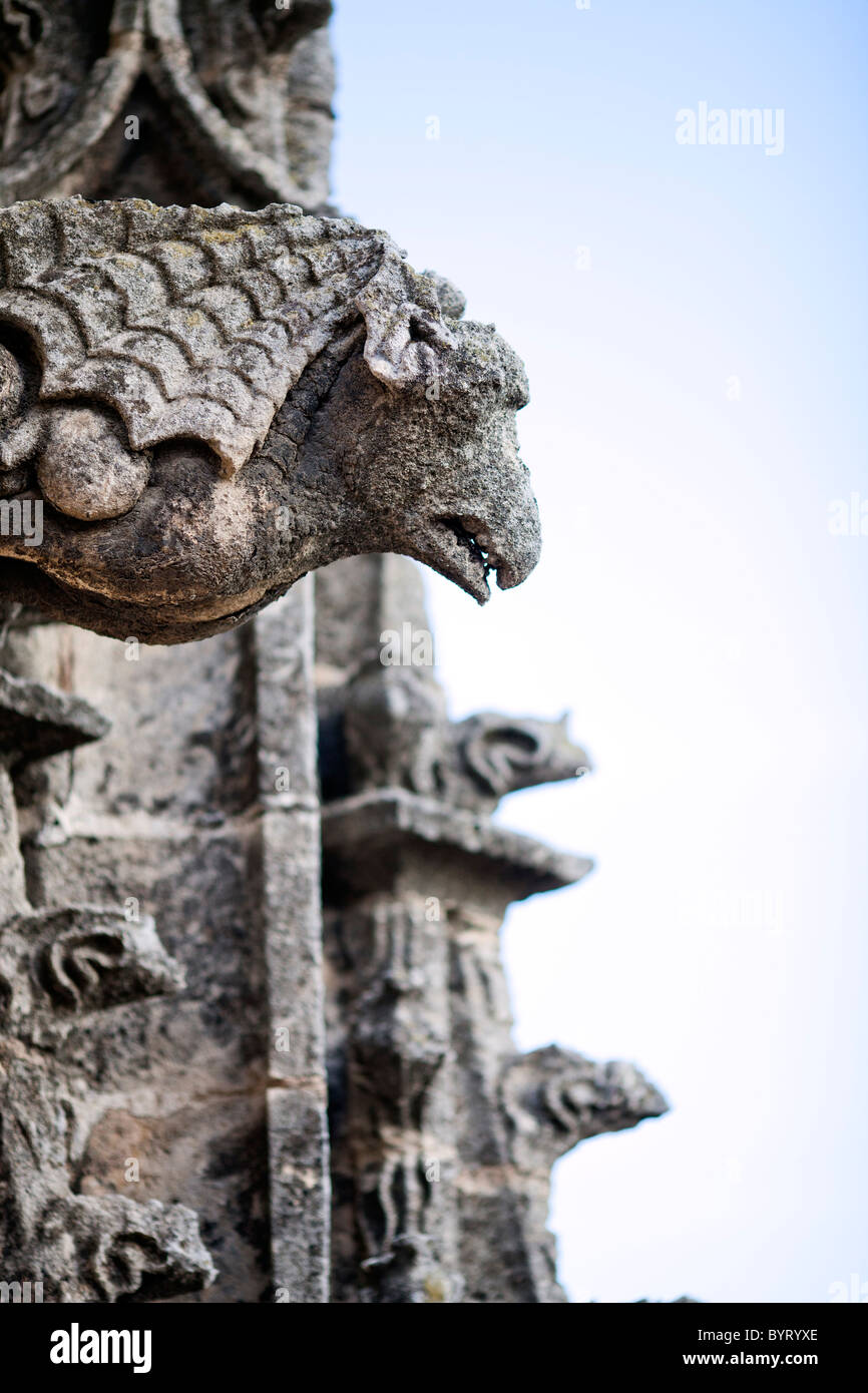 Gargoyle, Santa Maria de la Sede Cathedral, Seville, Spain Stock Photo ...