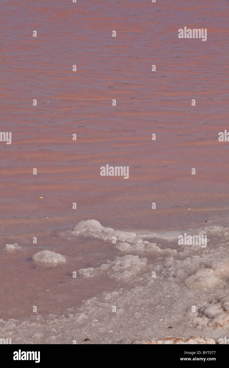 Salt flats at Cabo Rojo wildlife preserve Puerto Rico Stock Photo - Alamy