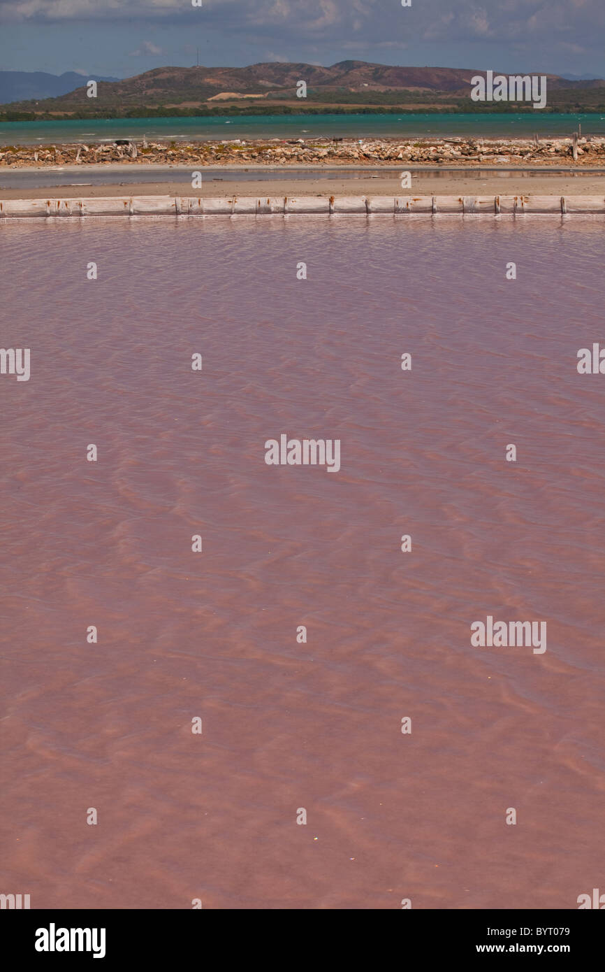 Salt flats at Cabo Rojo wildlife preserve Puerto Rico Stock Photo - Alamy