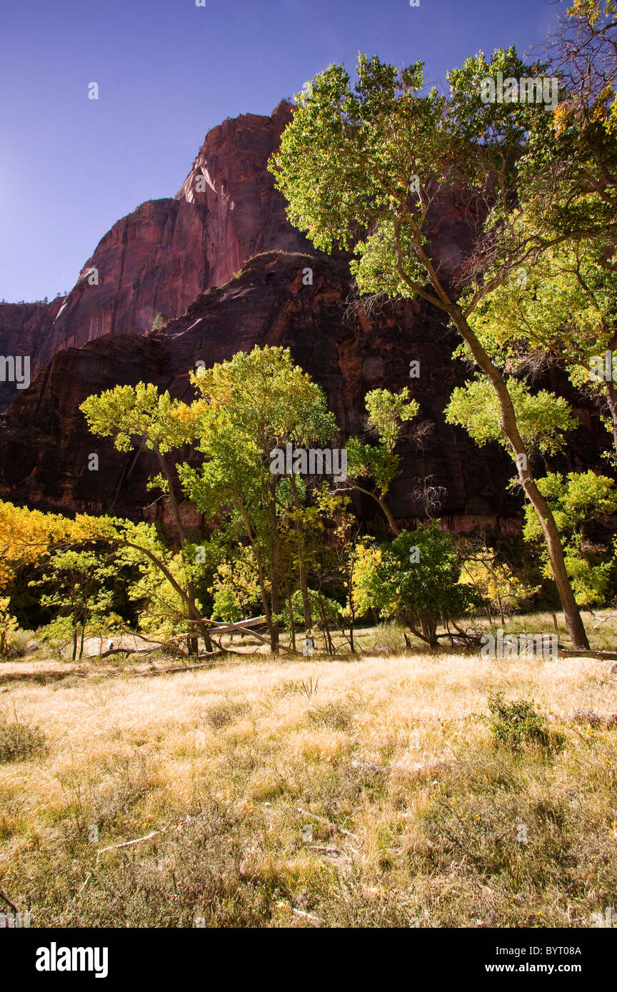 0022au hi-res stock photography and images - Alamy