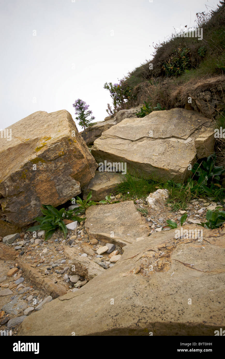 Swanage Hampshire England UK Beach Rocks Stock Photo - Alamy