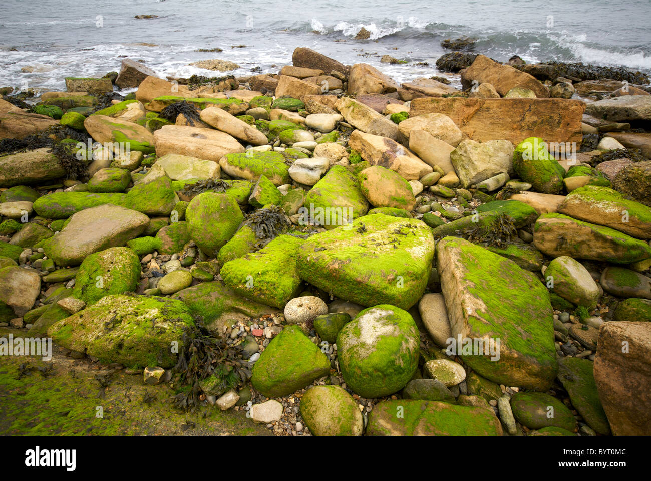 Swanage Hampshire England UK Beach Rocks Stock Photo - Alamy