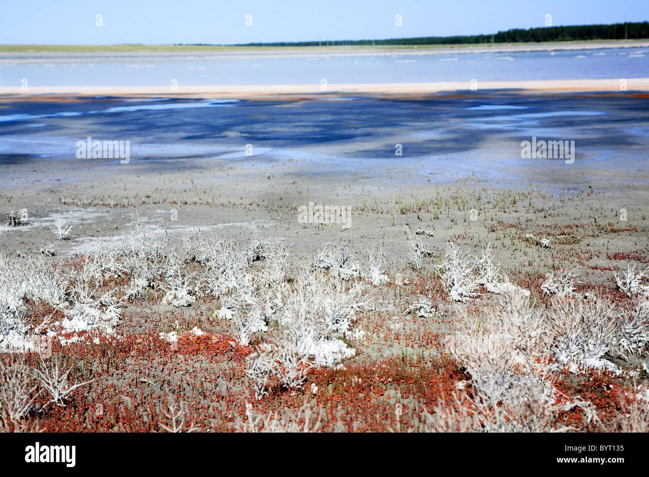 Extreme salinity hi-res stock photography and images - Alamy