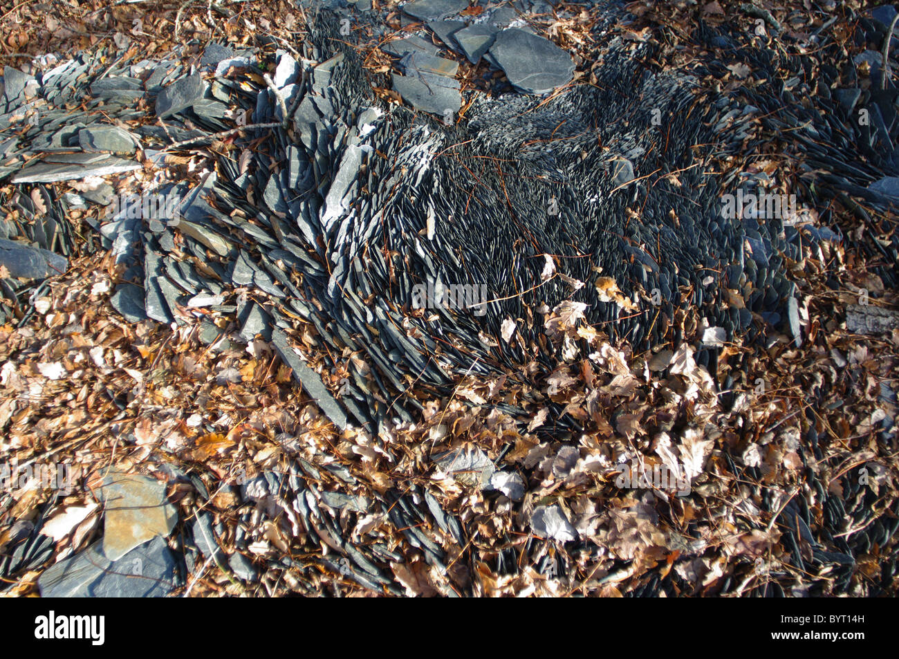 Slate beach hi-res stock photography and images - Alamy