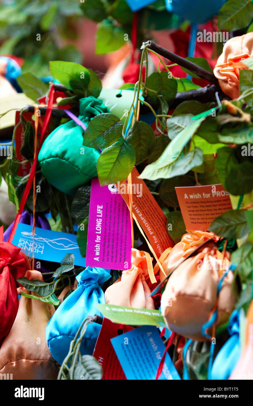 Wishing tree during chinese new hi-res stock photography and images - Alamy