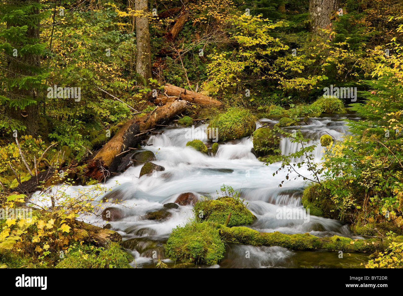 Roaring River, Aufderheide Memorial Drive, Willamette National Forest ...
