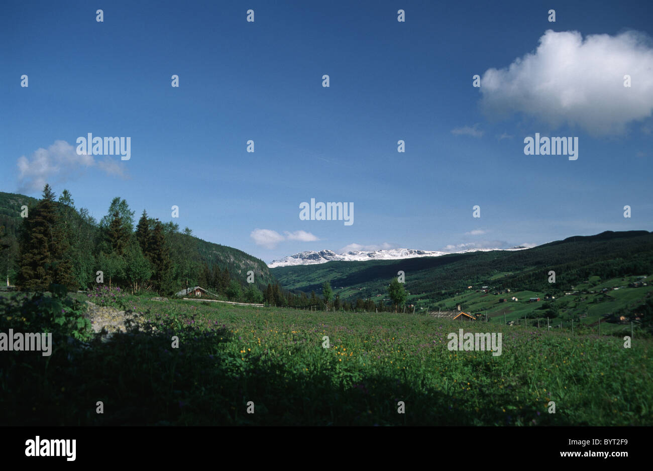 Hallingdal hi-res stock photography and images - Alamy