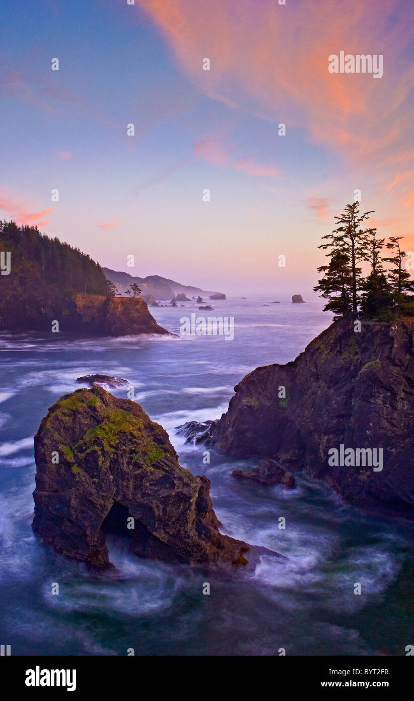 Oregon coast south of Natural Bridges Viewpoint, Samuel H. Boardman ...