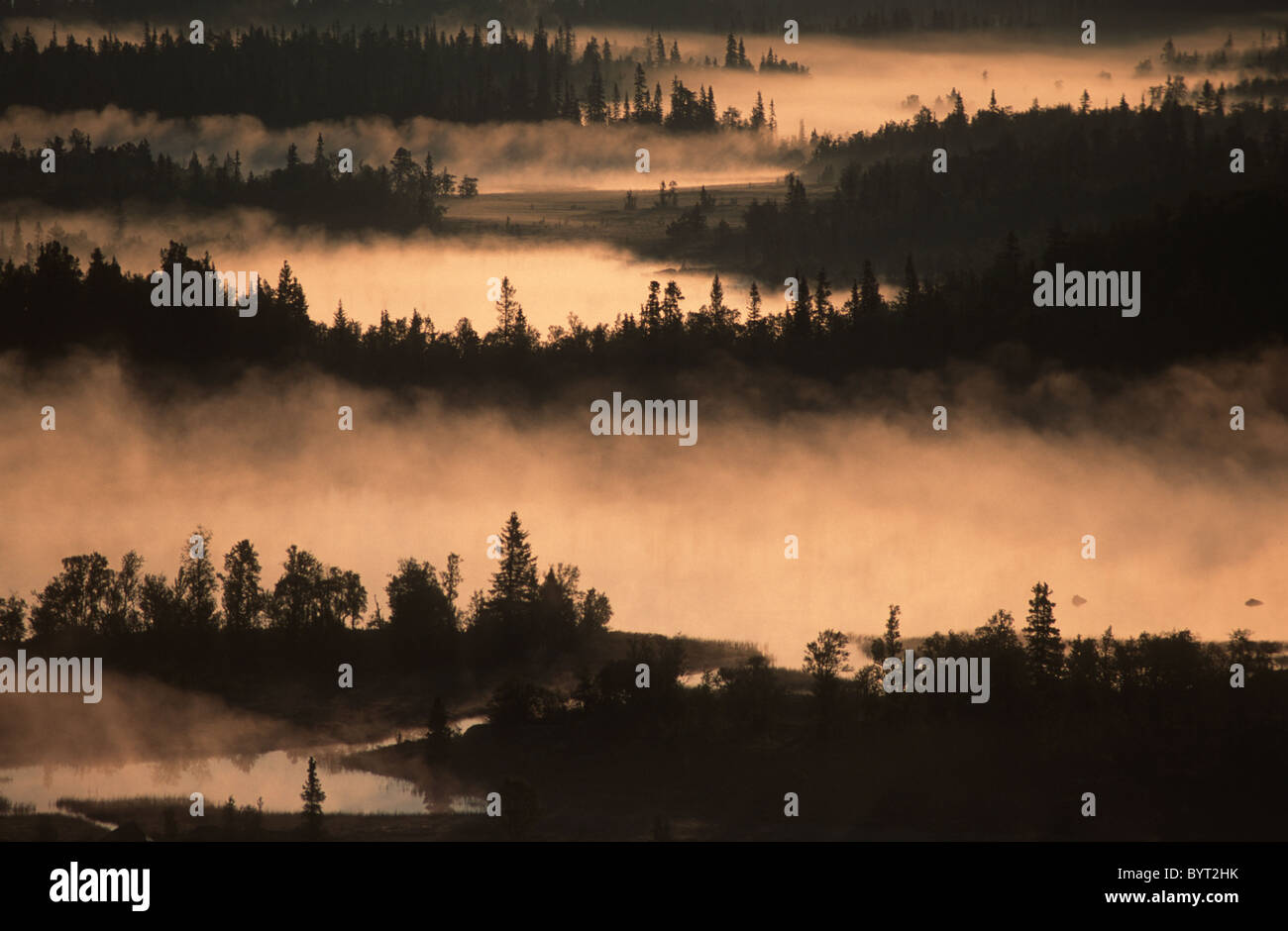 sunrise over a landscape of forests and water, untouched nature ...