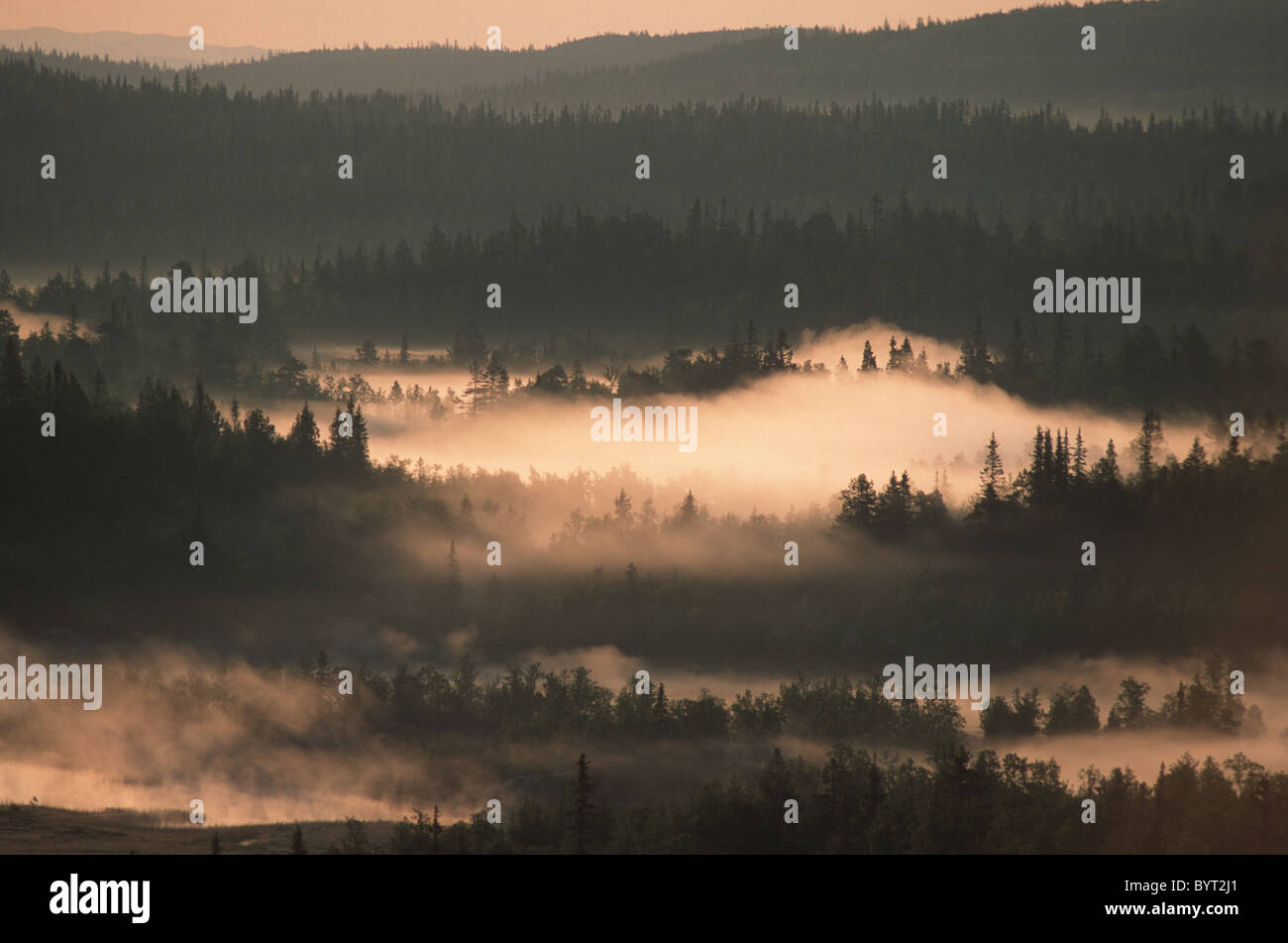 sunrise over a landscape of forests and water, untouched nature ...