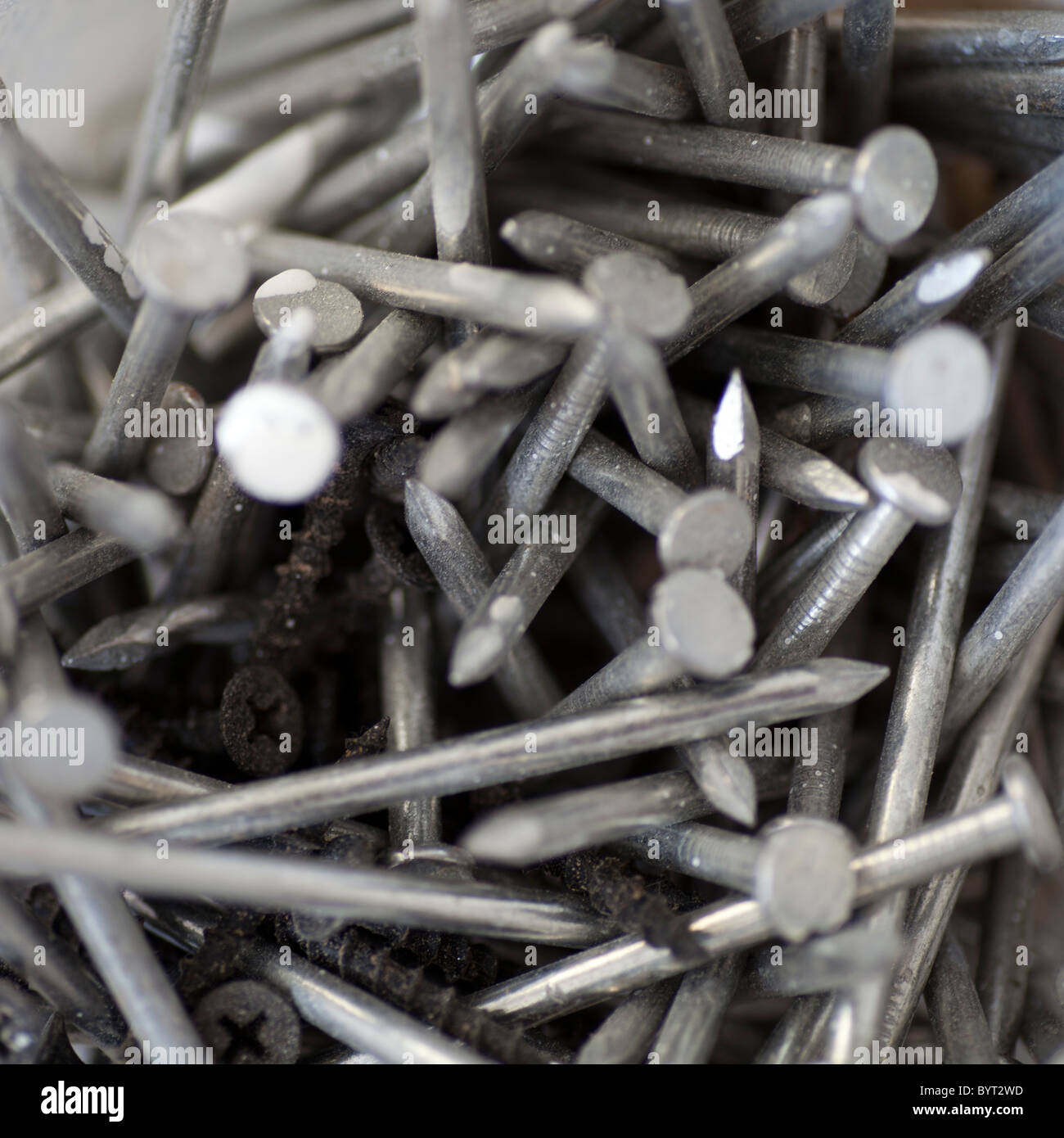 Macro photo of tin nails Stock Photo - Alamy