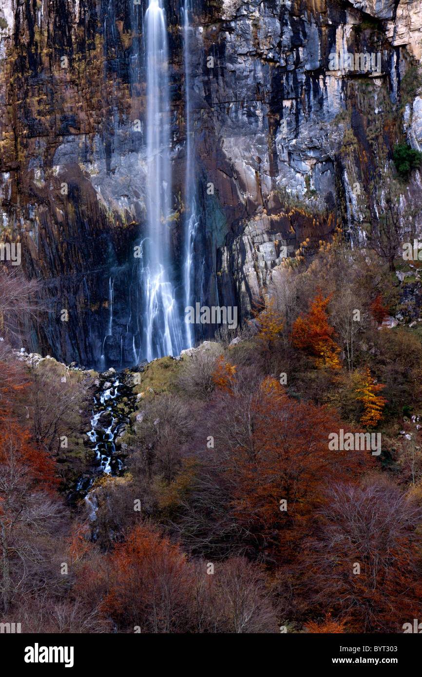 Ason nature park hi-res stock photography and images - Alamy