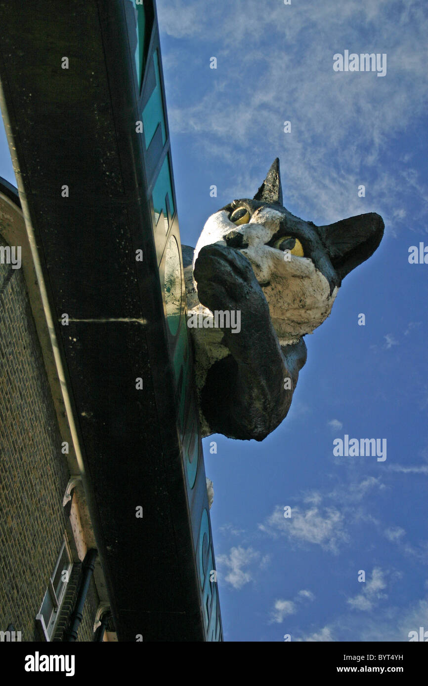 Catford cat hi-res stock photography and images - Alamy