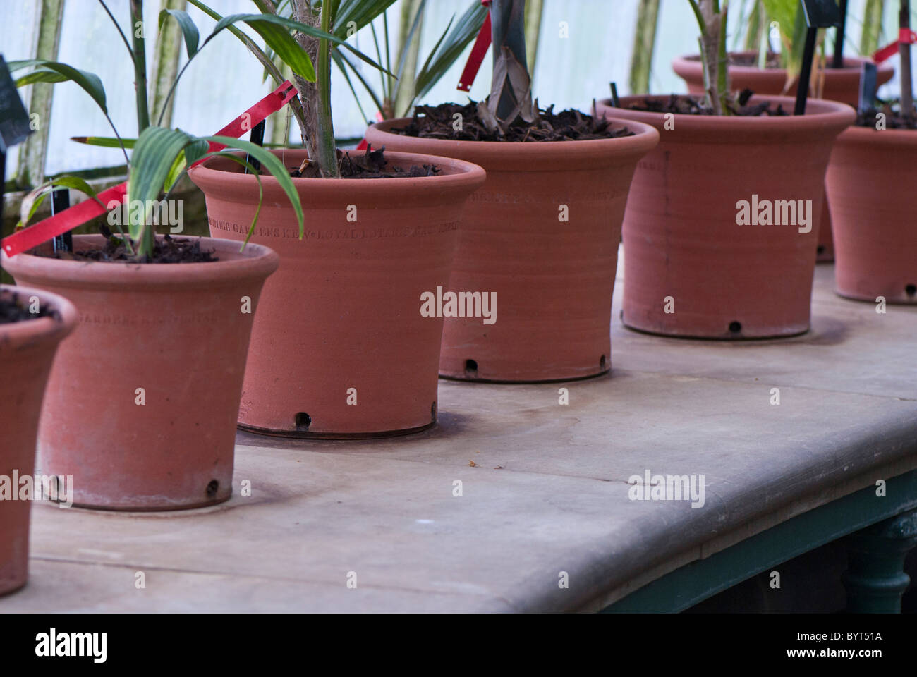 Pots in botanical gardens hi-res stock photography and images - Alamy