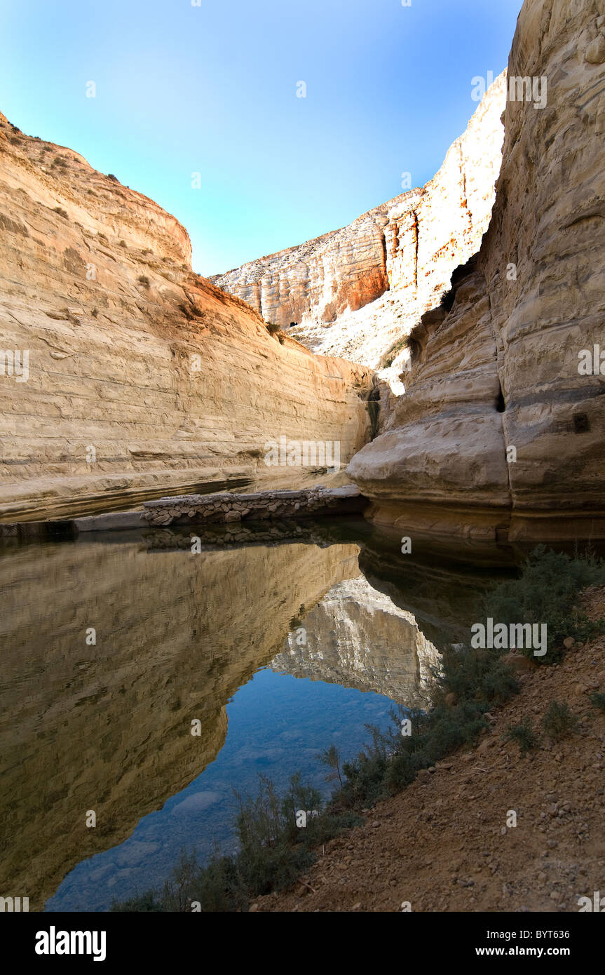 The beautiful Ein Avdat canyon in the Negev desert in Israel Stock ...