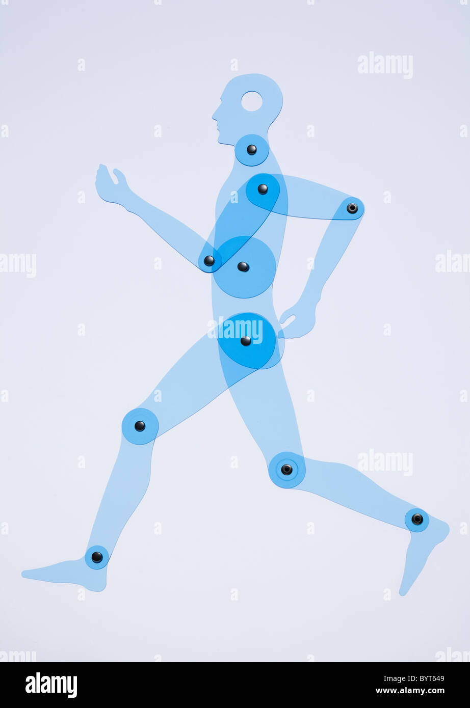 Human form ruler - Running Stock Photo - Alamy